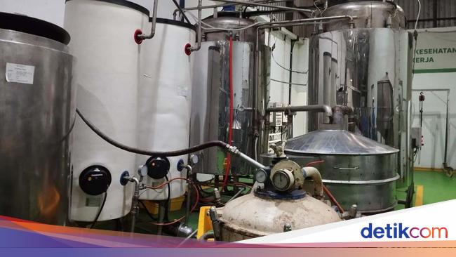 Potret Jeroan Pabrik Susu Ikan yang Digadang Masuk Program Makan Gratis Prabowo