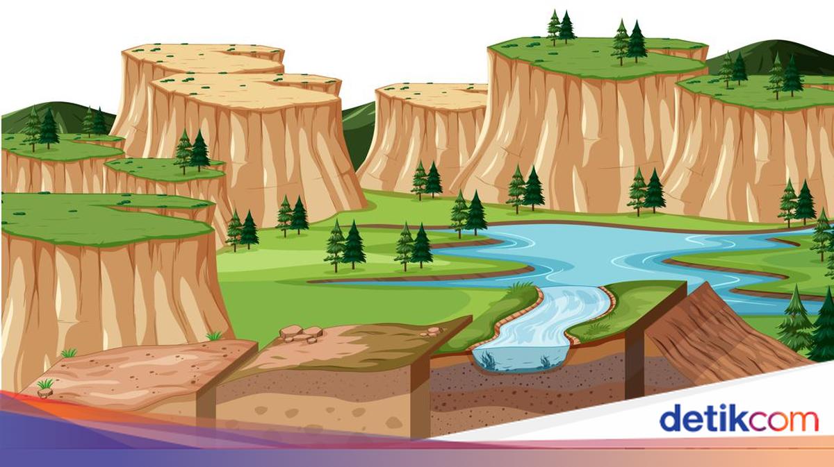 Sedimentasi Adalah: Proses Terjadi, Jenis, dan Contohnya