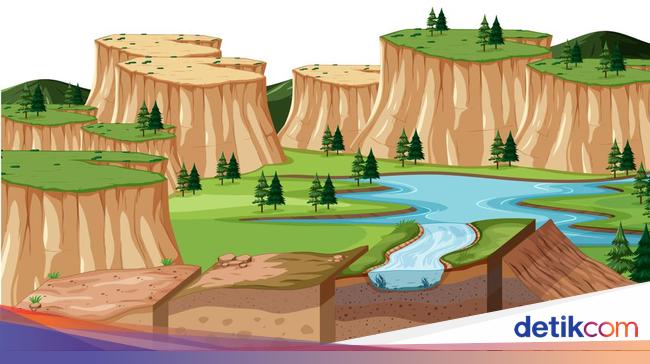 Sedimentasi Adalah: Proses Terjadi, Jenis, dan Contohnya