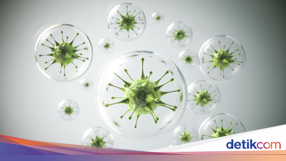 Mengenal Replikasi Virus serta Tahapannya dalam Siklus Litik dan Lisogenik