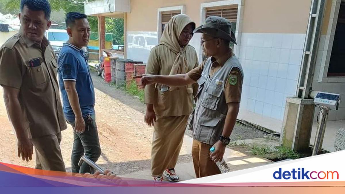 Apa Itu Logo NKV Pada Produk Daging? Ini Penjelasannya