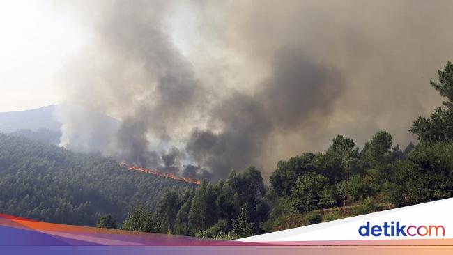 Penampakan Kepulan Asap Kebakaran Hutan di Portugal