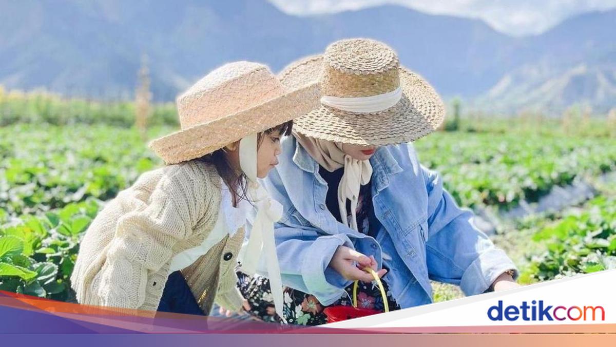Itinerary Seharian di Desa Wisata Sembalun Lombok, Bisa ke Mana Aja?
