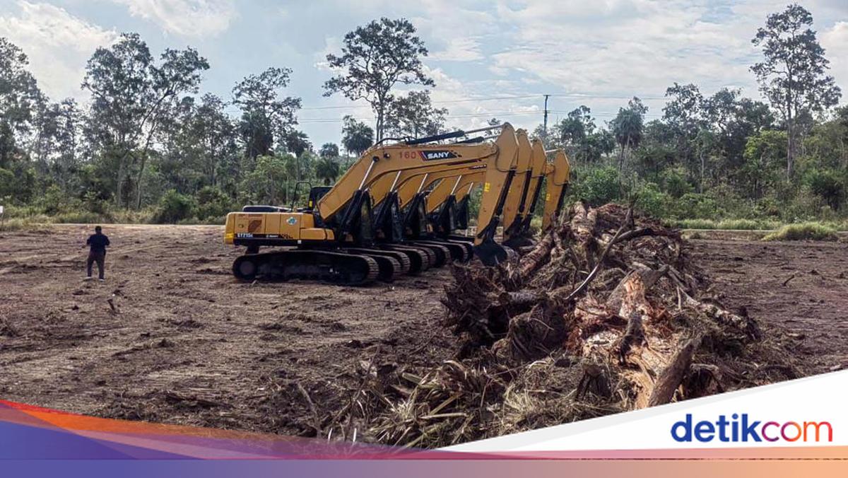 Ada Haji Isam di Proyek Cetak Sawah 1 Juta Hektare, Ini Perannya