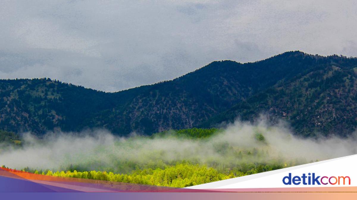 Hari Gunung Internasional 11 Desember 2024: Tema dan Sejarahnya