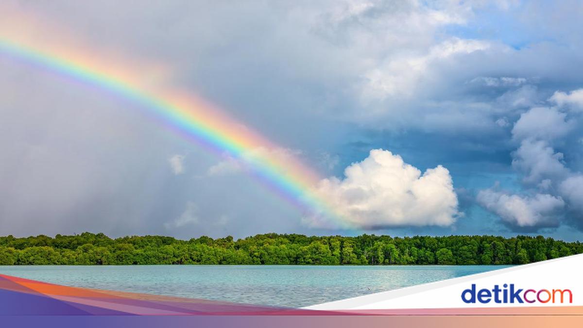 6 Jenis Pelangi Beserta Faktor dan Proses Terjadinya