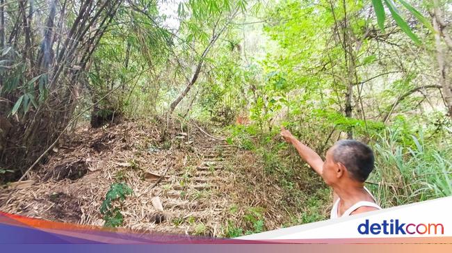 Fakta-fakta Mayat Pria Tergantung di Pohon Gembok Cinta Godean