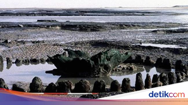 Seahenge, Situs Kayu 4.000 Tahun Mirip Arena Hunger Games 2