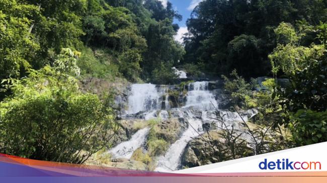 Taman Nasional Chu Mom Ray, Permata Baru dari Vietnam