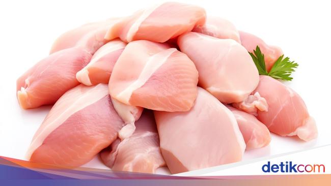 Harga Sembako Jogja Hari Ini 4 Oktober 2024: Daging Ayam Turun Jadi Segini Harga Sembako Jogja Hari Ini 4 Oktober 2024: Daging Ayam Turun Jadi Segini
