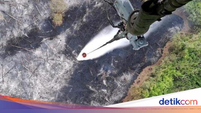 Karhutla Kembali Terjadi di Sumsel, 5 Helikopter Lakukan 271 Kali Water Bombing
