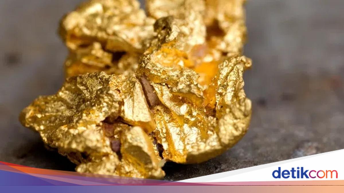 Ada Bakteri Penggali Emas, Bisa Hasilkan Partikel Berharga