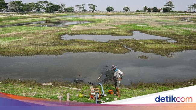 Penampakan Air Waduk Kronjo Tangerang Menyusut Drastis