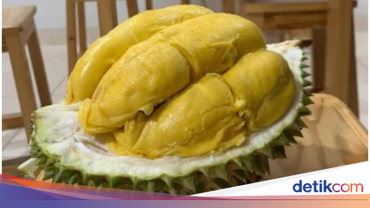 Harga Durian Musang King Anjlok! Kini Cuma Rp 40 Ribu Sekilo