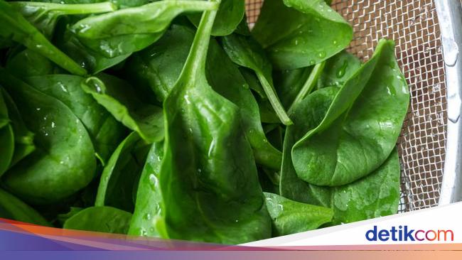 Rutin Konsumsi Bayam, 5 Manfaat Sehat Ini Dirasakan Tubuh