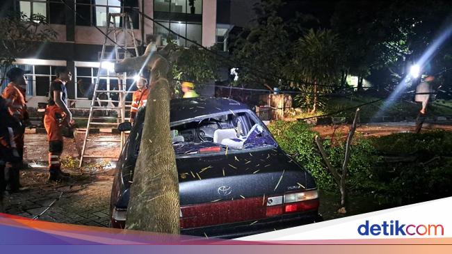 Bogor Sempat Diterjang Angin Kencang, Pohon 15 Meter Tumbang Timpa Mobil