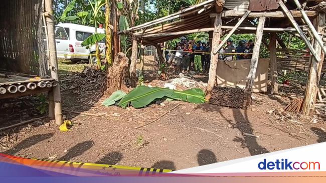 Heboh Penemuan Mayat Wanita Setengah Telanjang Dekat Kandang Ayam di Kendal