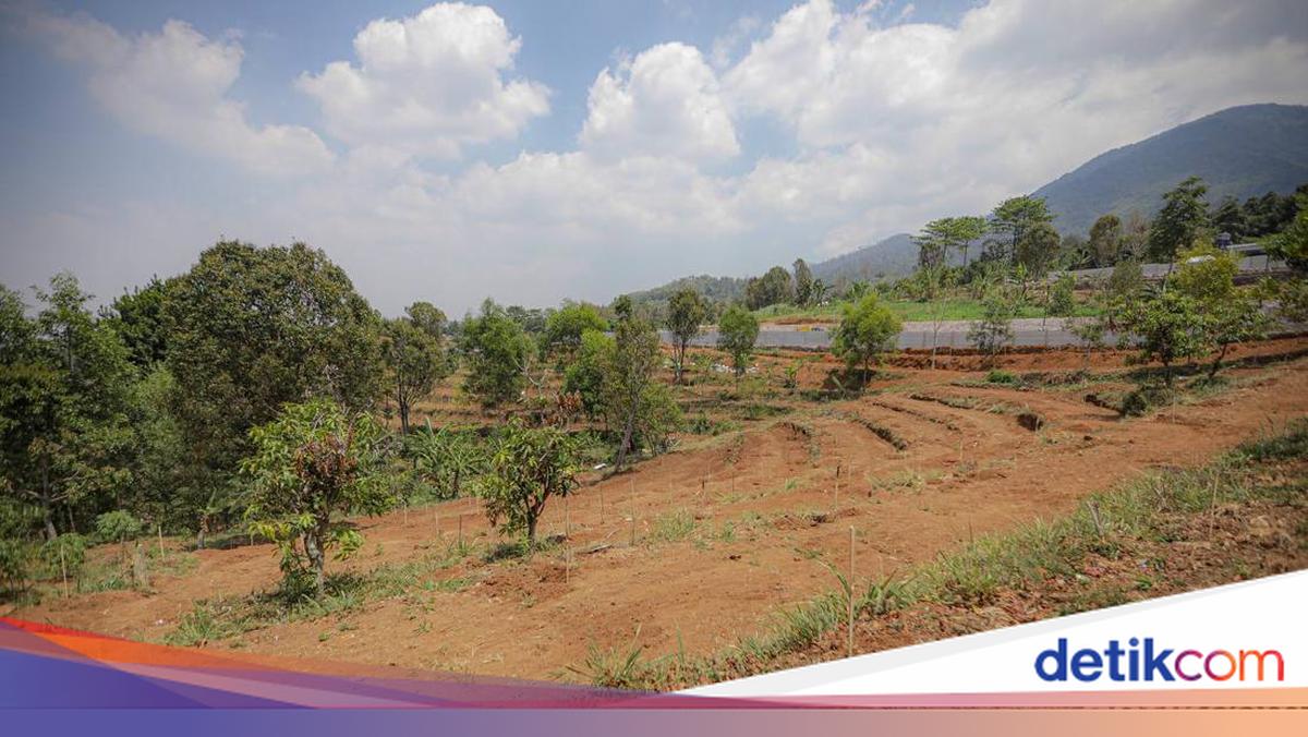 Walkot Farhan Buka Opsi Tinjau Ulang Tata Ruang Bandung Utara