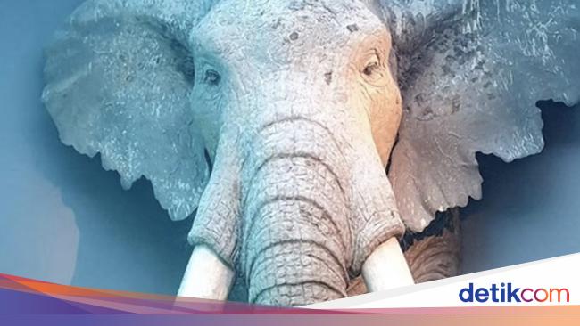 Fosil Gajah Raksasa di India Bikin Ilmuwan Terkesima
