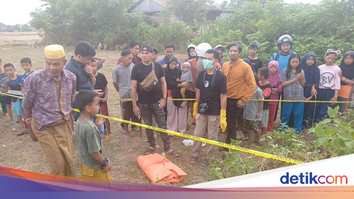 Kendala Polisi Ungkap Identitas Pria Pura-pura Kubur Kucing Ternyata Janin