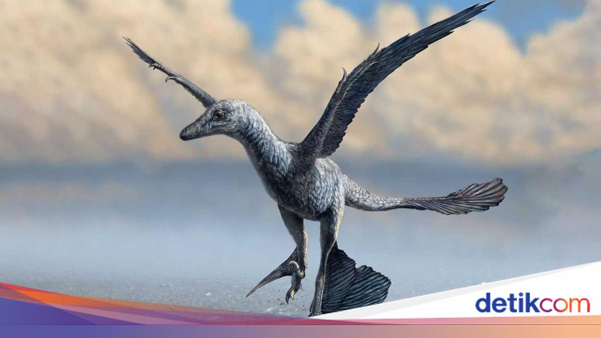 Terungkap Dinosaurus Ini Pakai Sayap untuk Berlari Cepat