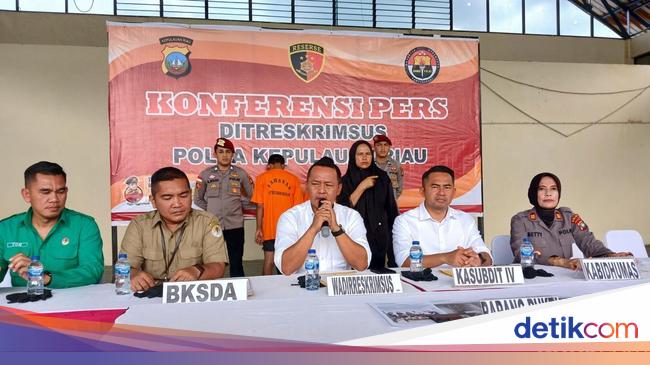 Penyelundupan 10 Kura-kura Dilindungi Digagalkan di Batam, 2 Pelaku Ditangkap