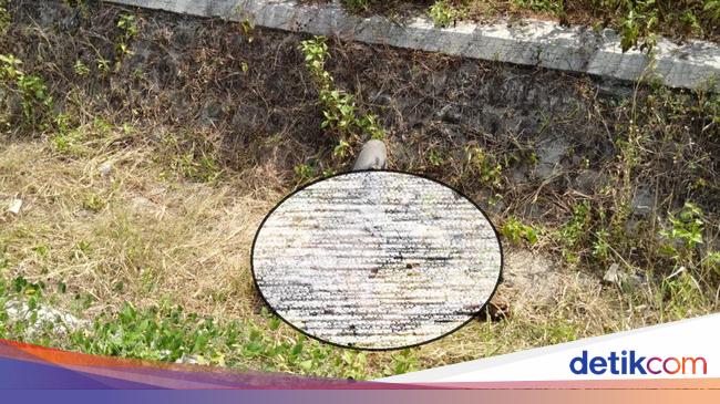Identitas Jasad di Drainase Tol Lampung Terungkap, Keluarga Buat Laporan