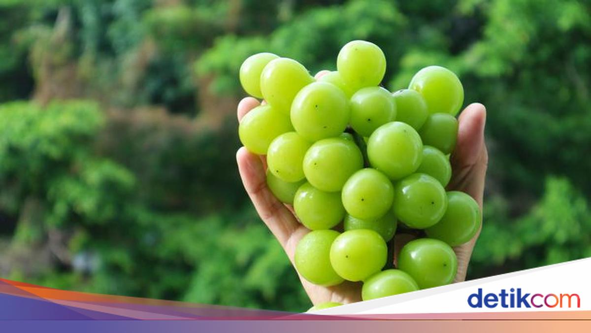 5 Fakta Anggur Shine Muscat, Anggur Premium Jepang yang Manis Segar