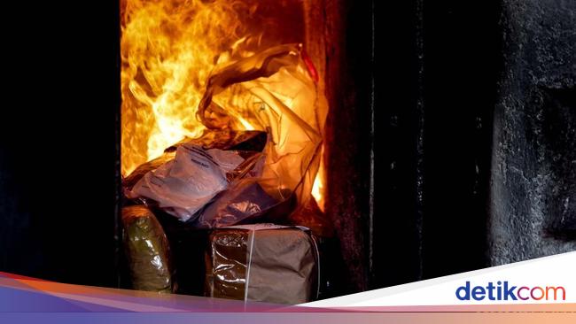 BNNP DKI Jakarta Musnahkan Ganja-Sabu, 4 Orang Ditangkap