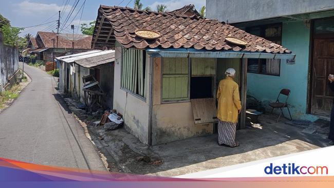 Wanita Magelang Hidup Bersama 42 Kucing, 17 Bangkai Dibiarkan di Gubuk