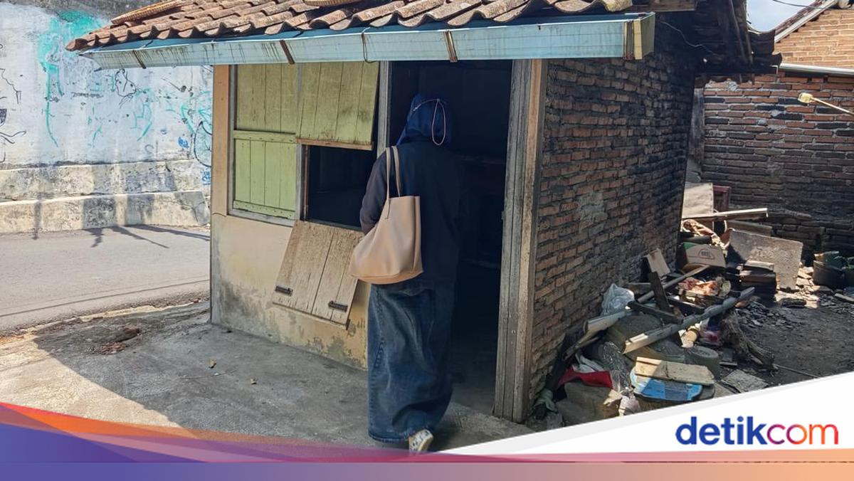 Warga Magelang Tinggal Bersama Bangkai Belasan Kucing, Ini Penampakan ...