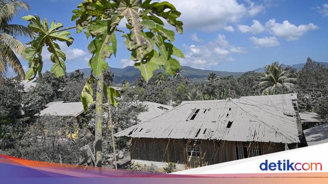 Korban Erupsi Gunung Lewotobi Dapat Bantuan Rp 3 Juta Sembari Tunggu Direlokasi