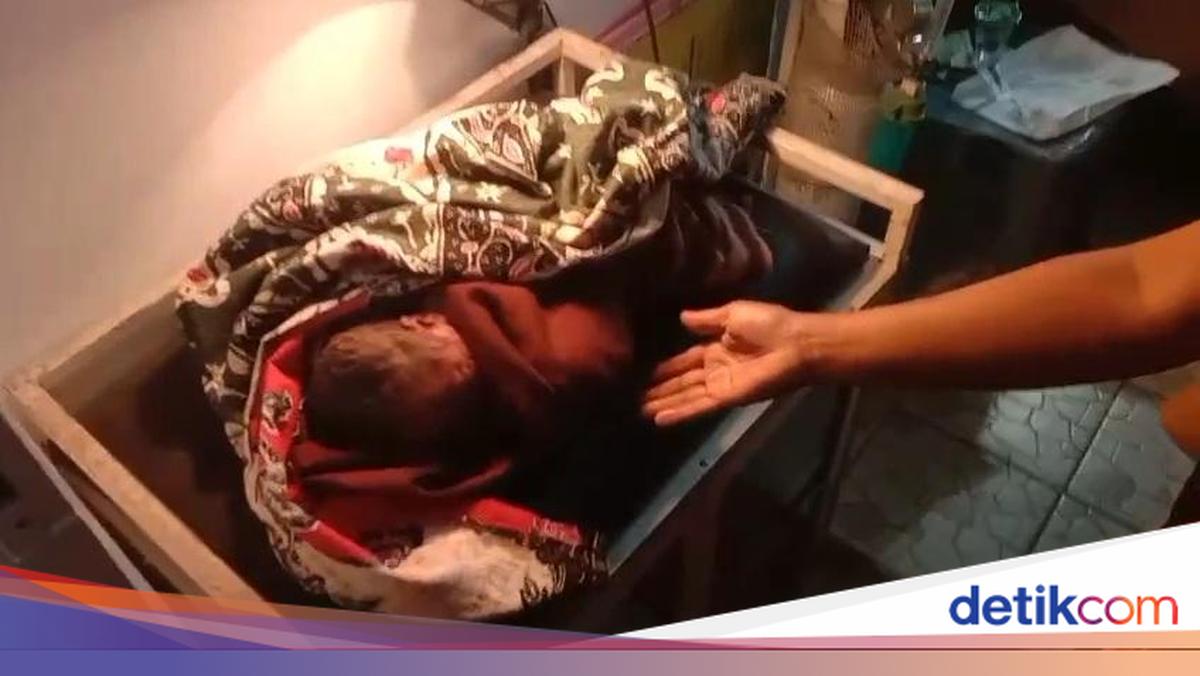 Bayi Merah Selamat Meski Sudah Dikelilingi Anjing Liar di Tasikmalaya