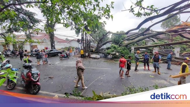 Dahsyatnya Hujan Angin Tumbangkan Banyak Pohon Raksasa di Cimahi