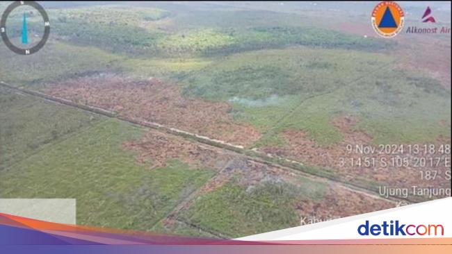 Karhutla Sumsel Terjadi di Tulung Selapan, Hotspot Berada di Lahan Gambut