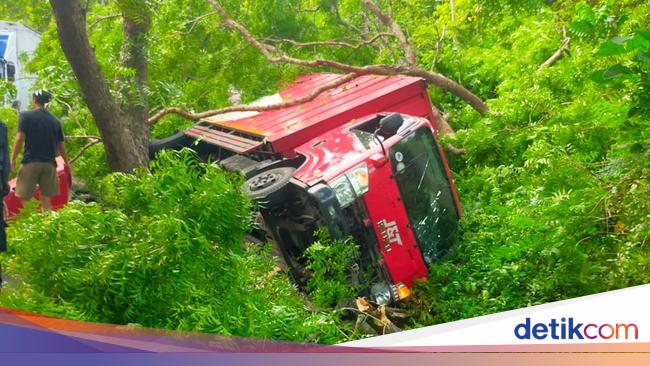 Truk Tabrak Pohon-Terguling di Jalan Denpasar-Gilimanuk gegara Sopir Ngantuk