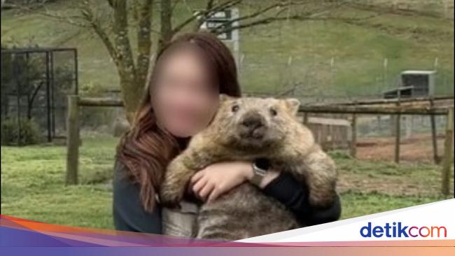 The Tale of Mr. Wombat's Worries: A Wandering Journey - NewsyList