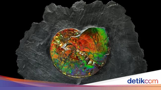 Ilmuwan Temukan Warna Baru yang Belum Pernah Dilihat Manusia Sebelumnya