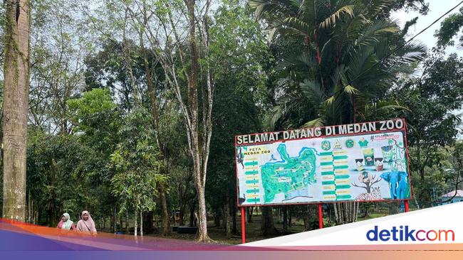 Melihat Nasib Medan Zoo, Dulu Berjaya Kini merana