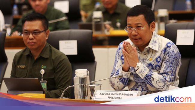 Rapat dengan DPR, Bapanas Minta Tambahan Rp 31 T buat Bansos Beras-Telur
