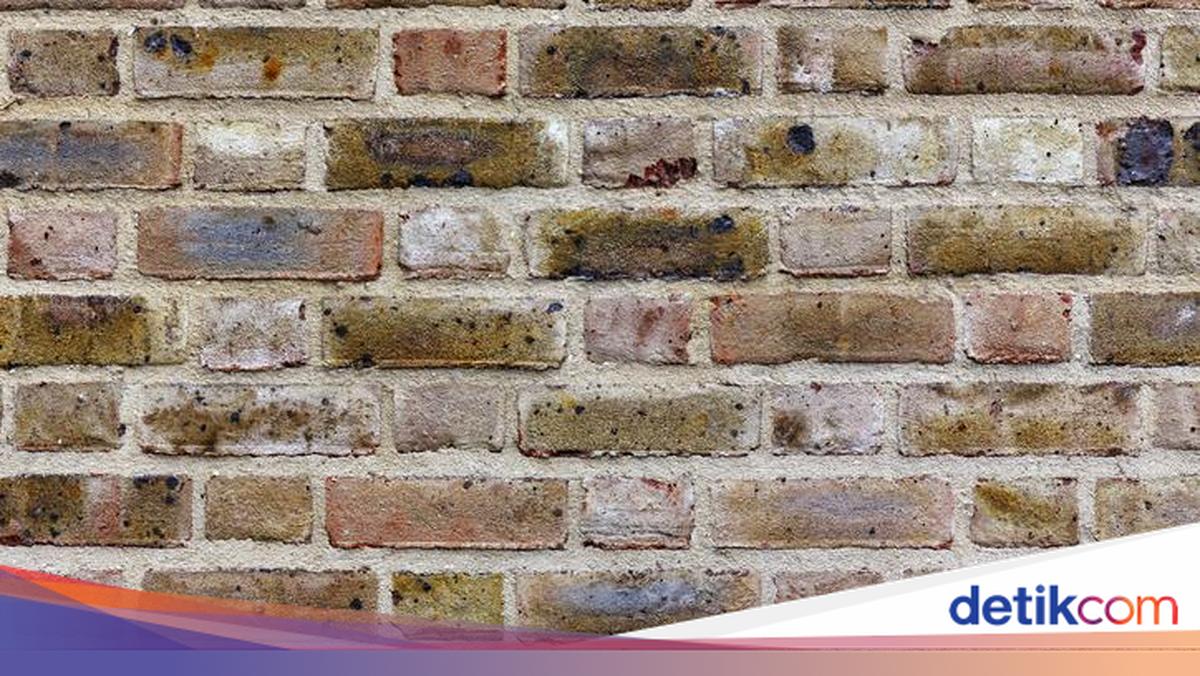 Jenis-Jenis Dinding Bangunan Lengkap, dari Penahan Beban hingga Partisi