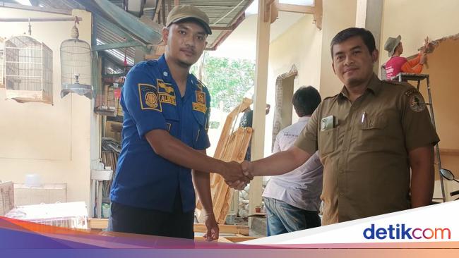 Lutung Jawa dari Ngawen Diserahkan Damkar Klaten ke BKSDA