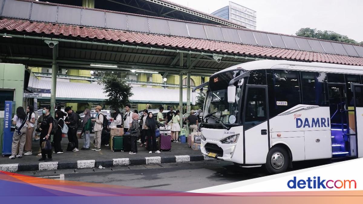 Jadwal DAMRI Bogor Bandara 2025: Rute & Tarif Lengkap Terbaru
