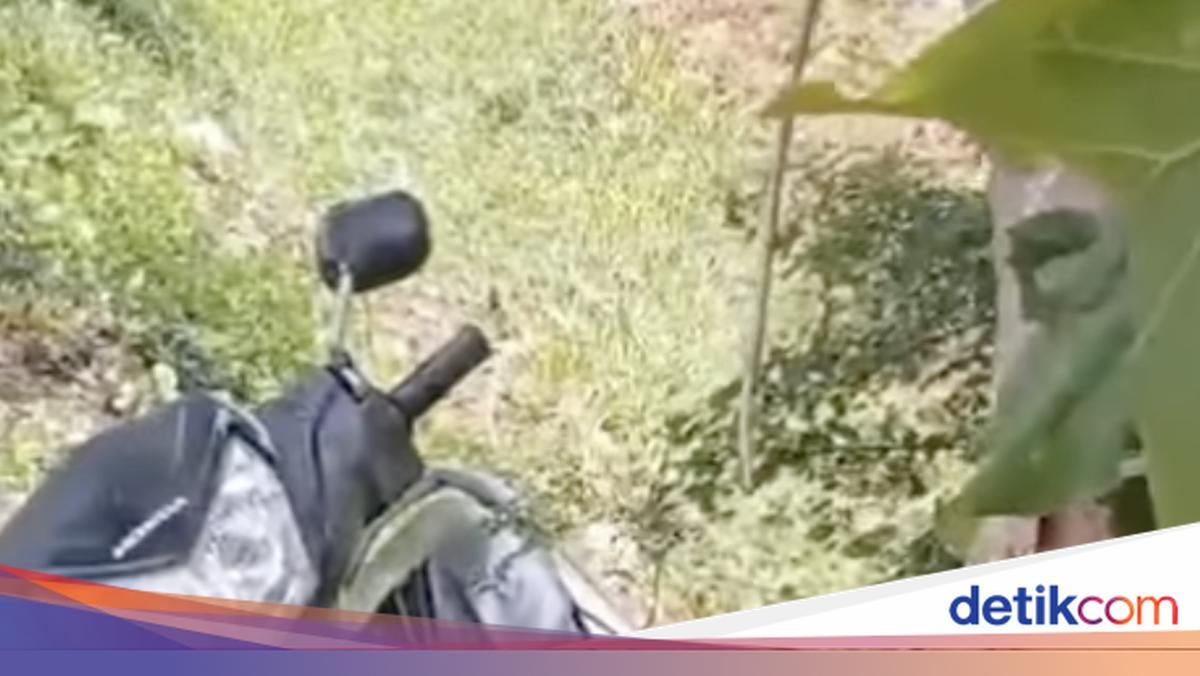 Viral Bocah SD 'Cengtri' Kebut-kebutan Naik Motor Berakhir Nyangkut di ...
