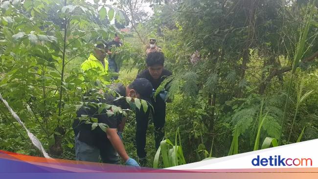 Wanita Tewas di Semak-semak Tangerang Ternyata Dibunuh, Pelaku Ditangkap