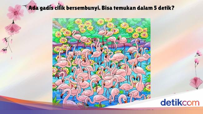 Kamu Beneran Pintar? Coba Jawab Tes IQ Kecerdasan Otak Ini! Kamu Beneran Pintar? Coba Jawab Tes IQ Kecerdasan Otak Ini!