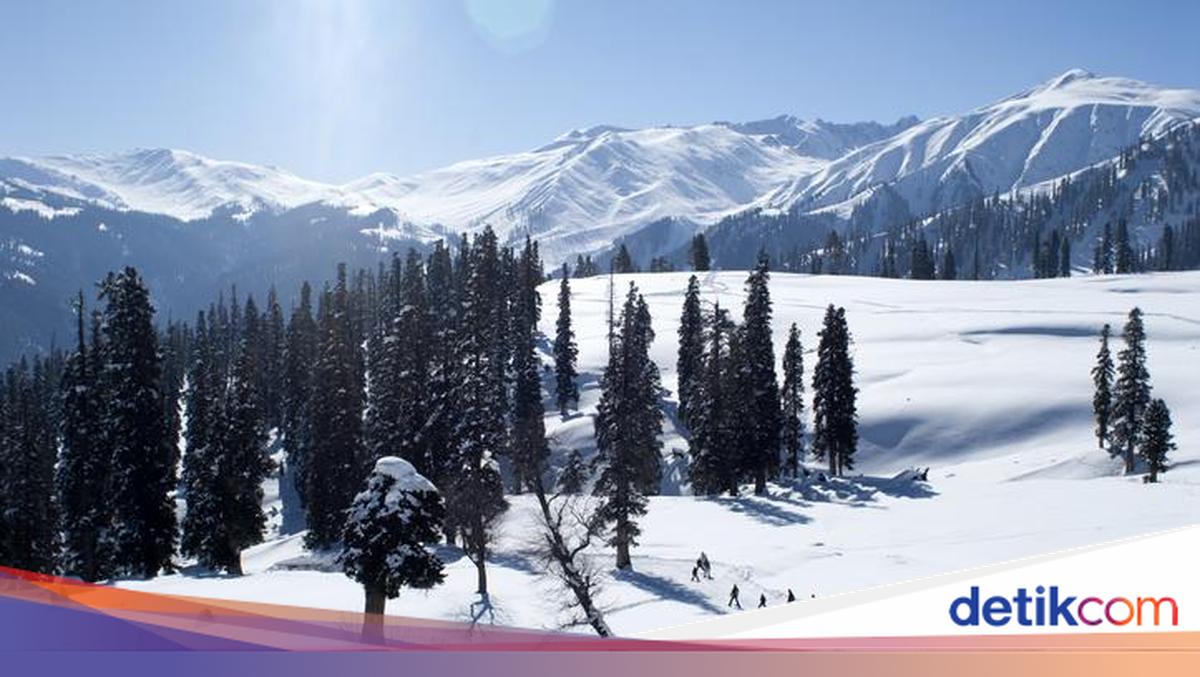 Salju Turun di Wilayah India, Operator Wisata Gembira
