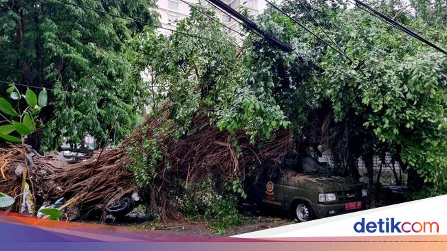 Mobil Satpol PP Surabaya Ringsek Tertimpa Pohon Beringin