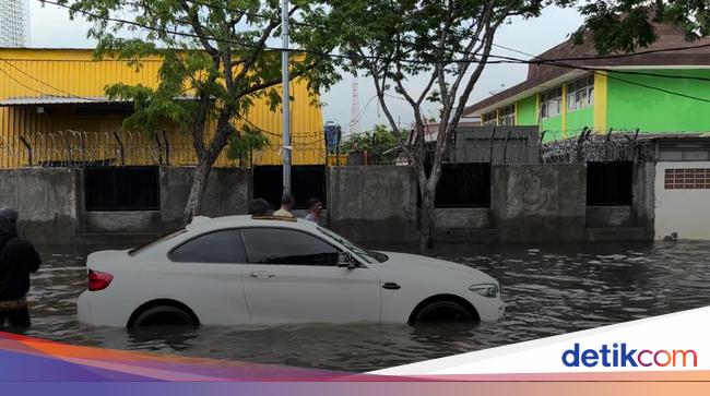 Mobil Mewah Mogok Usai Terobos Banjir Rob di Jakut, Ingat Risikonya