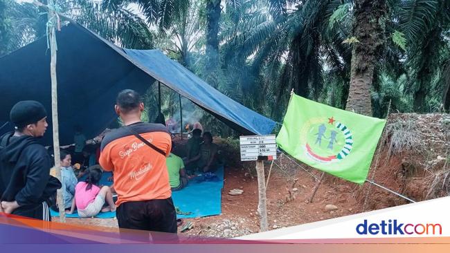 Warga Luwu Timur Nginap di Kebun Sawit Buntut Sengketa Lahan dengan PTPN